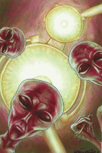 Experiment GIFs - Get the best gif on GIFER