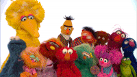 Muppets GIFs - Get the best gif on GIFER