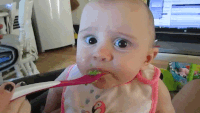 Eating GIFs - Get the best gif on GIFER