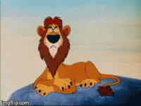 Lion GIFs - Get the best gif on GIFER