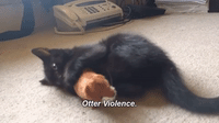 Violence GIFs - Get the best gif on GIFER