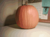Courge GIFs - Get the best gif on GIFER