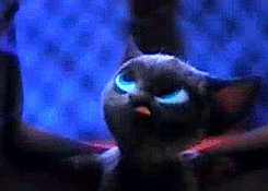 Eunice stein GIFs - Get the best gif on GIFER