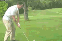Golf GIFs - Get the best gif on GIFER