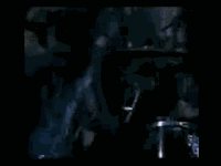 Prego GIFs - Get the best gif on GIFER