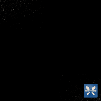 Barnorama GIFs - Get the best gif on GIFER