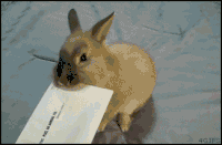 Letter GIFs - Get the best gif on GIFER
