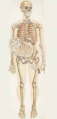 Medicine GIFs - Get the best gif on GIFER