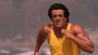Rocky GIFs - Get the best gif on GIFER