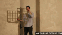 Cardboard GIFs - Get the best gif on GIFER