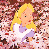 Alice GIFs - Get the best gif on GIFER