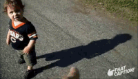 Shadows GIFs - Get the best gif on GIFER