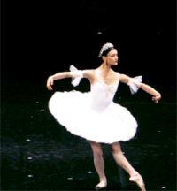 Ballet GIFs - Get the best gif on GIFER