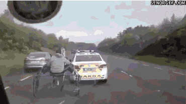 Chasing cars GIF - Conseguir el mejor gif en GIFER