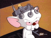 Brain GIFs - Get the best gif on GIFER