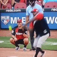 Softball GIFs - Get the best gif on GIFER