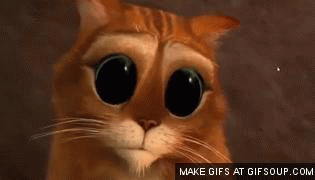 Gato con botas GIF - Conseguir el mejor gif en GIFER