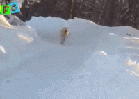 Collisions GIFs - Get the best gif on GIFER