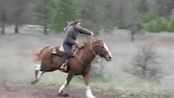 Galloping GIFs - Get the best gif on GIFER