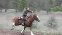 Gallop GIFs - Get the best gif on GIFER