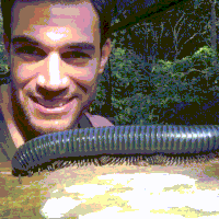 Millipede GIFs - Get the best gif on GIFER
