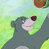 C baloo GIFs - Get the best gif on GIFER