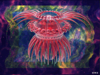 Medusa GIFs - Get the best gif on GIFER