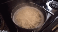 Noodle GIFs - Get the best gif on GIFER