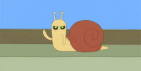 Snail GIFs - Get the best gif on GIFER