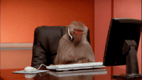 Macaco GIFs - Get the best gif on GIFER