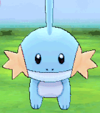 Mudkip GIFs - Get the best gif on GIFER