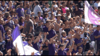 Stadium GIFs - Get the best gif on GIFER