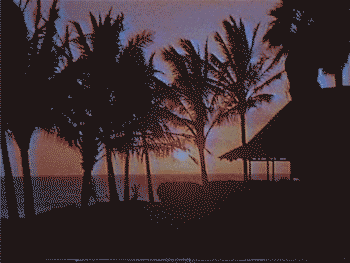Palm trees GIF - Conseguir o melhor gif em GIFER