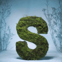 Spring GIFs - Get the best gif on GIFER