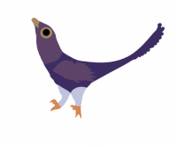 Trash dove GIF - Conseguir o melhor gif em GIFER
