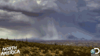 Monsoons GIFs - Get the best gif on GIFER