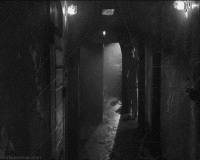 Terror GIFs - Get the best gif on GIFER