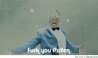 Allergy GIFs - Get the best gif on GIFER