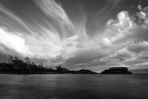 Borisla GIFs - Get the best gif on GIFER