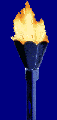 Torch GIFs - Get the best gif on GIFER