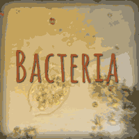 Bacteria GIFs - Get the best gif on GIFER