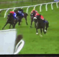 Fence GIFs - Get the best gif on GIFER