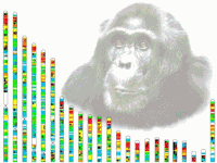 Evolution GIFs - Get the best gif on GIFER
