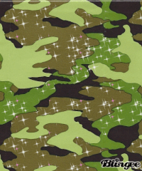Camouflage GIFs - Get the best gif on GIFER