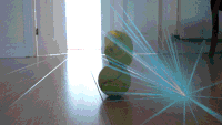 Budgie GIFs - Get the best gif on GIFER