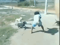 Aggressive GIFs - Get the best gif on GIFER