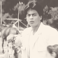 Teehee GIFs - Get the best gif on GIFER