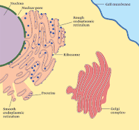 Cell GIFs - Get the best gif on GIFER