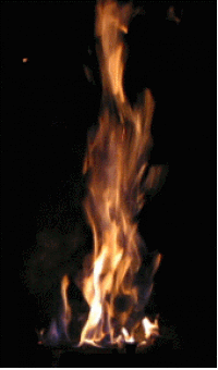 Samhain GIFs - Get the best gif on GIFER