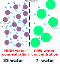 Diffusion GIFs - Get the best gif on GIFER